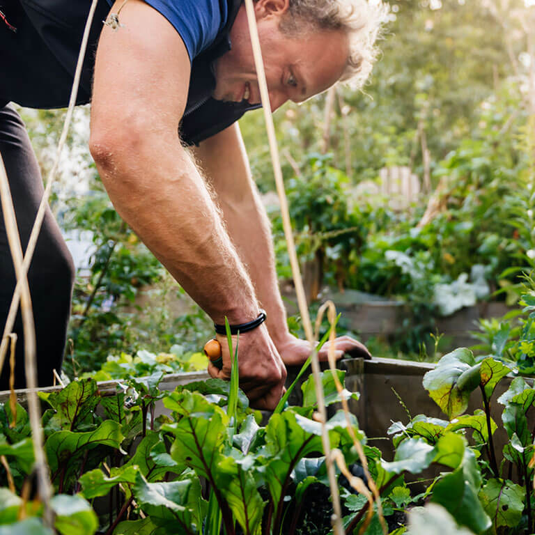 Grow your own in your outdoor space | B&Q