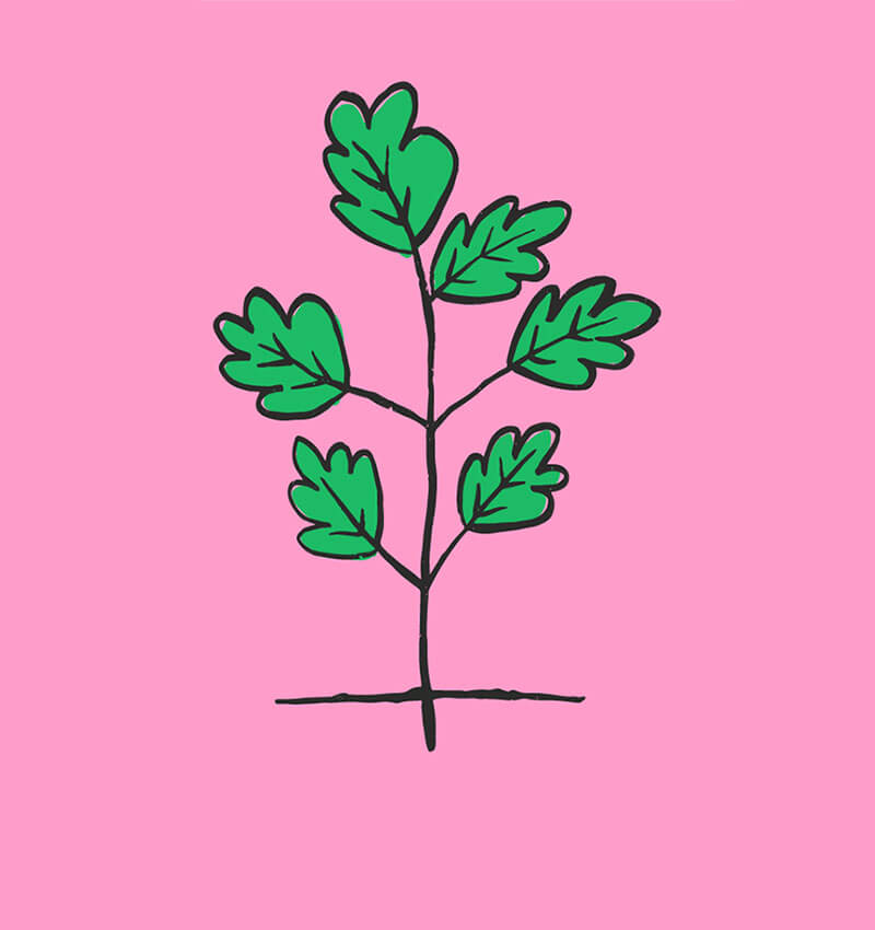 Grow a better future | Woodland Trust | Pledge to win