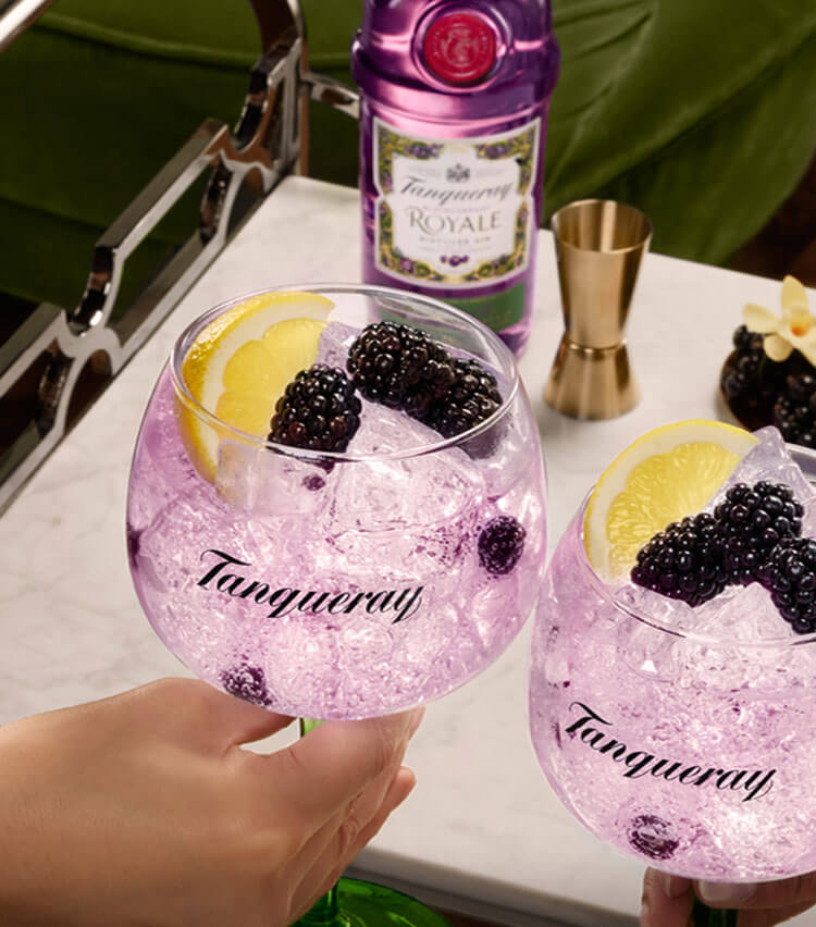 Master the art of a beautifully balanced T&T | Tanqueray