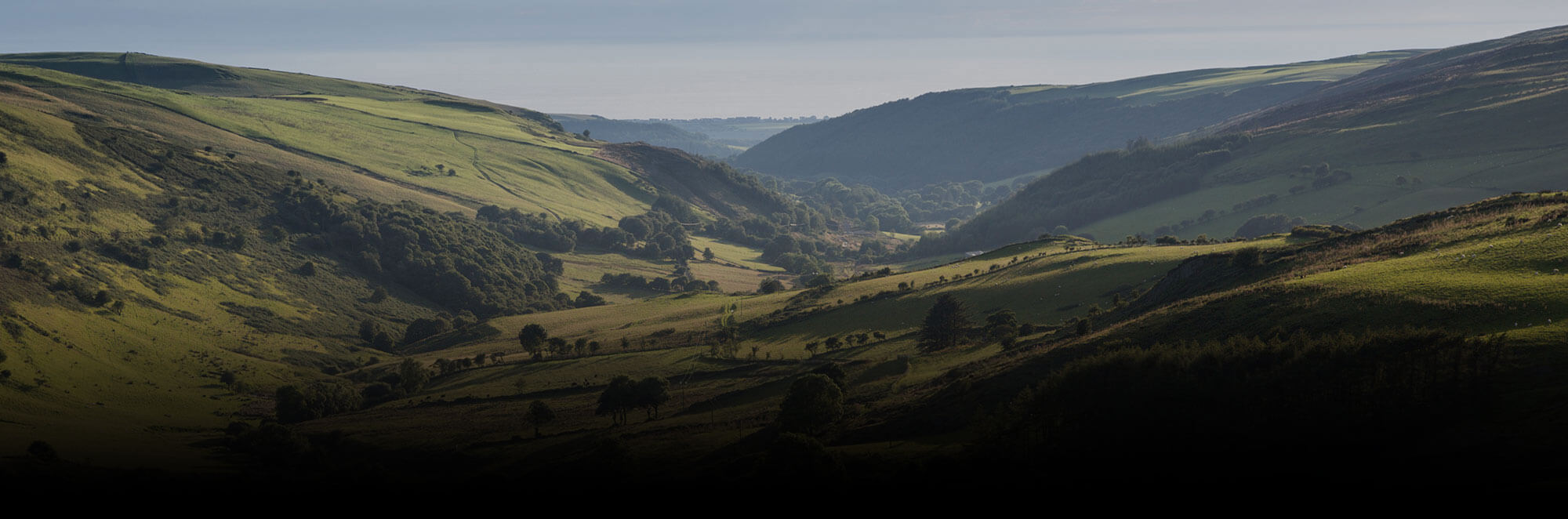 Hungry for a sustainable future? | Welsh Gov